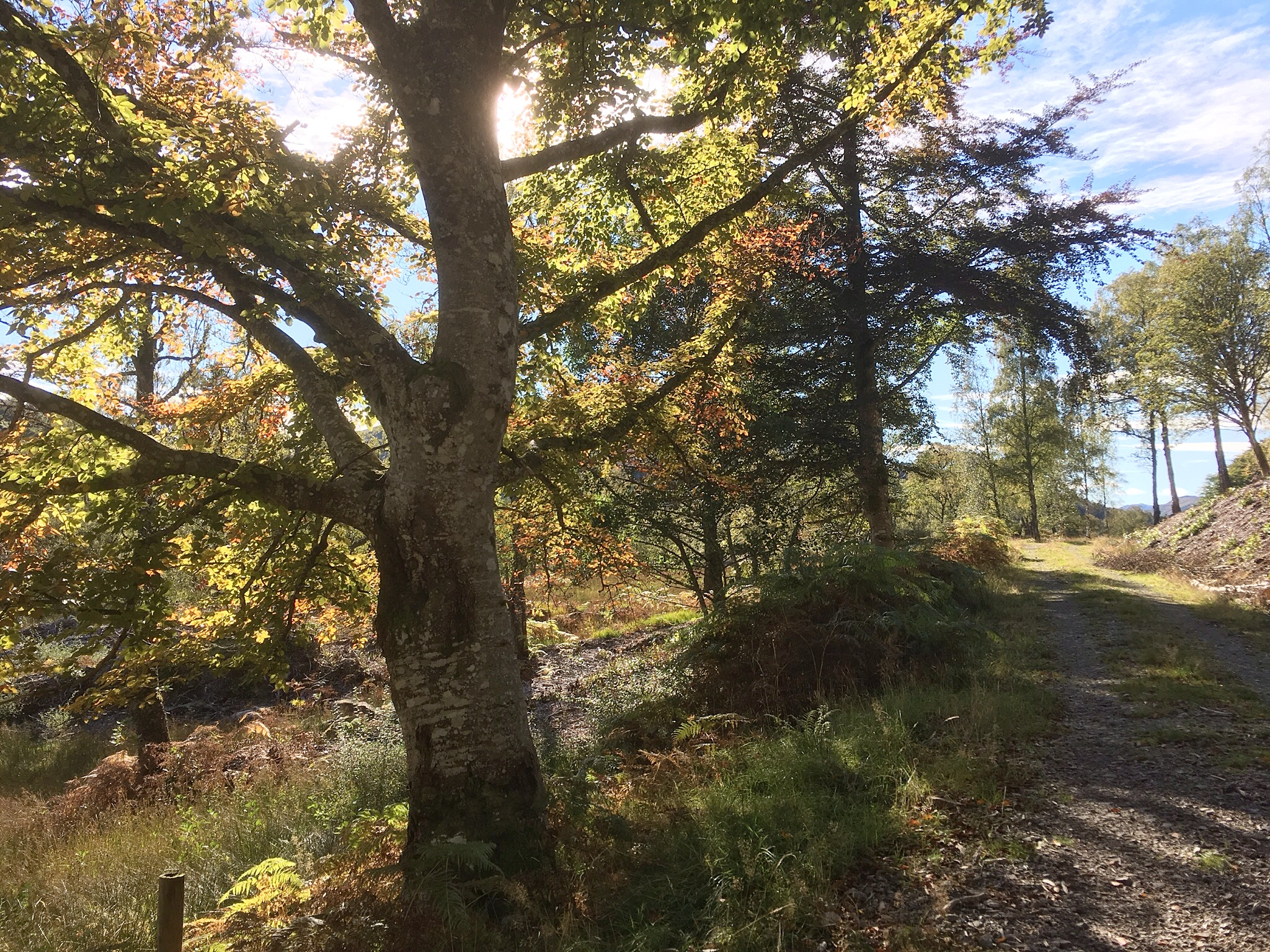 October | Fearnan Village Association